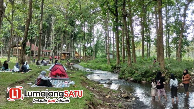Kapas Ijo, Pesona Alam Asri di Desa Sumberejo Candipuro Lumajang