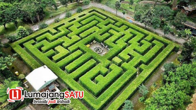 Serunya Tersesat di Labirin Coban Rondo, Wisata Unik di Tengah Sejuknya ...