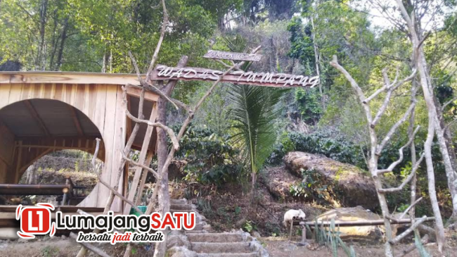 Wadas Tumpang, Pesona Tebing Berundak yang Memukau di Banjarnegara