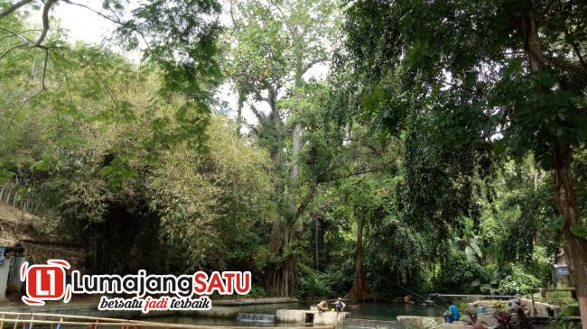 Asal Mula Nama Sumber Pakel Lumajang