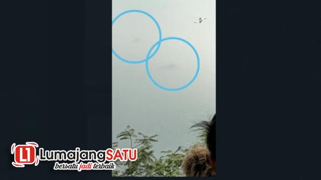 Muncul Ikan Raksasa di Ranu Pakis, Ini Kata Dinas Perikanan Lumajang