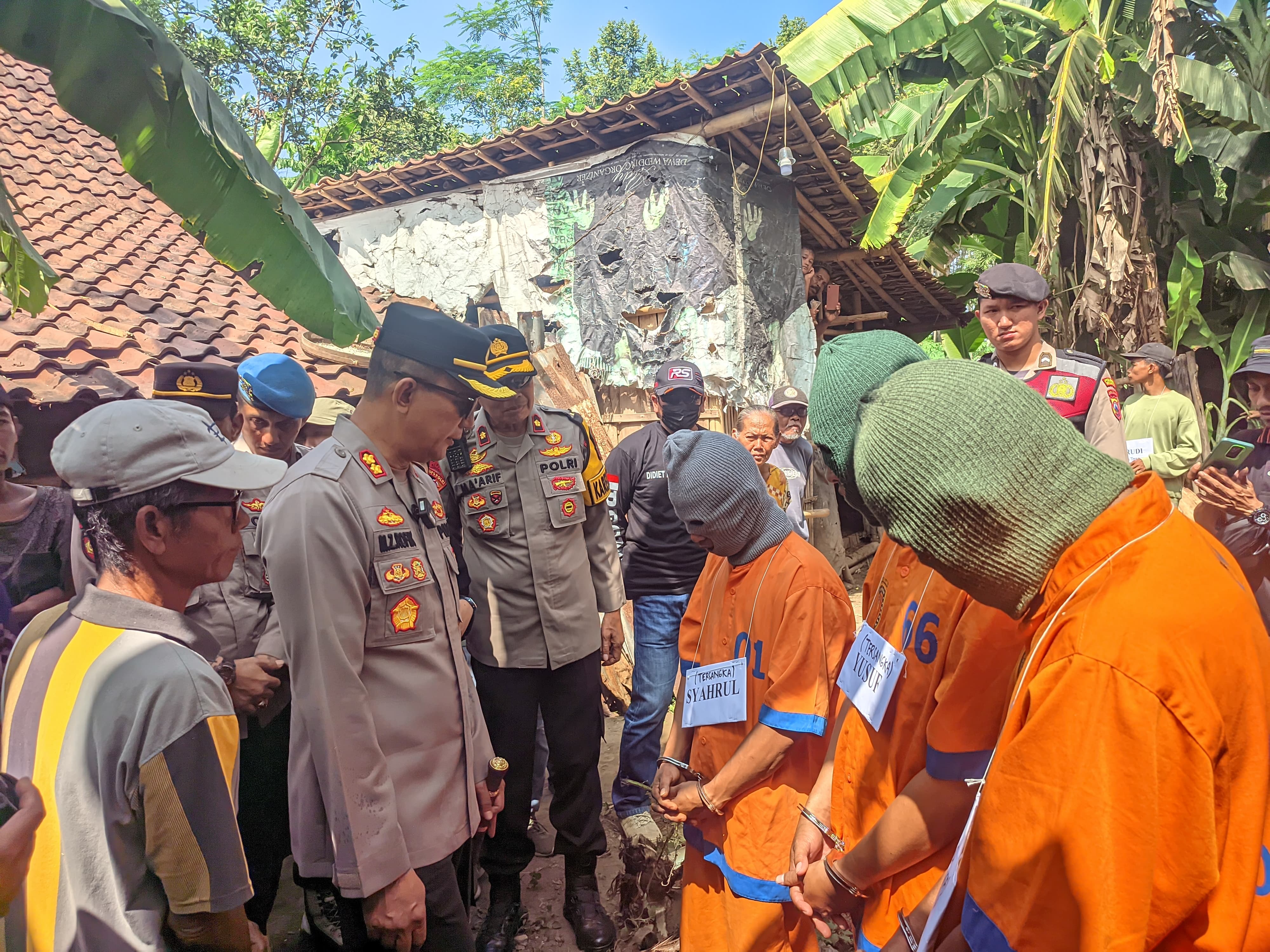 Tiga Maling Sapi Ditangkap Polres Lumajang 4 Masih Buron Tiga Maling Sapi Ditangkap Polres Lumajang 4 Masih Buron